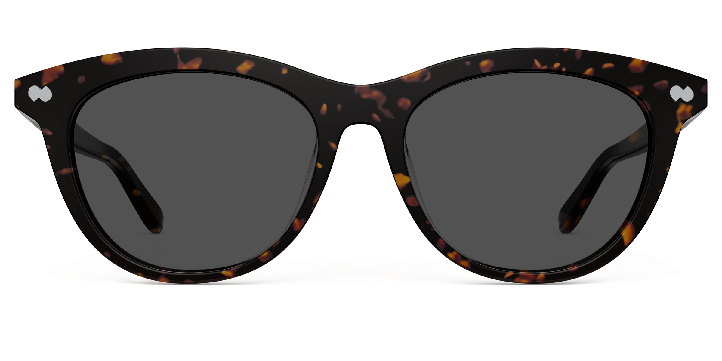 The Brook - Tortoise Sun – Pair Eyewear