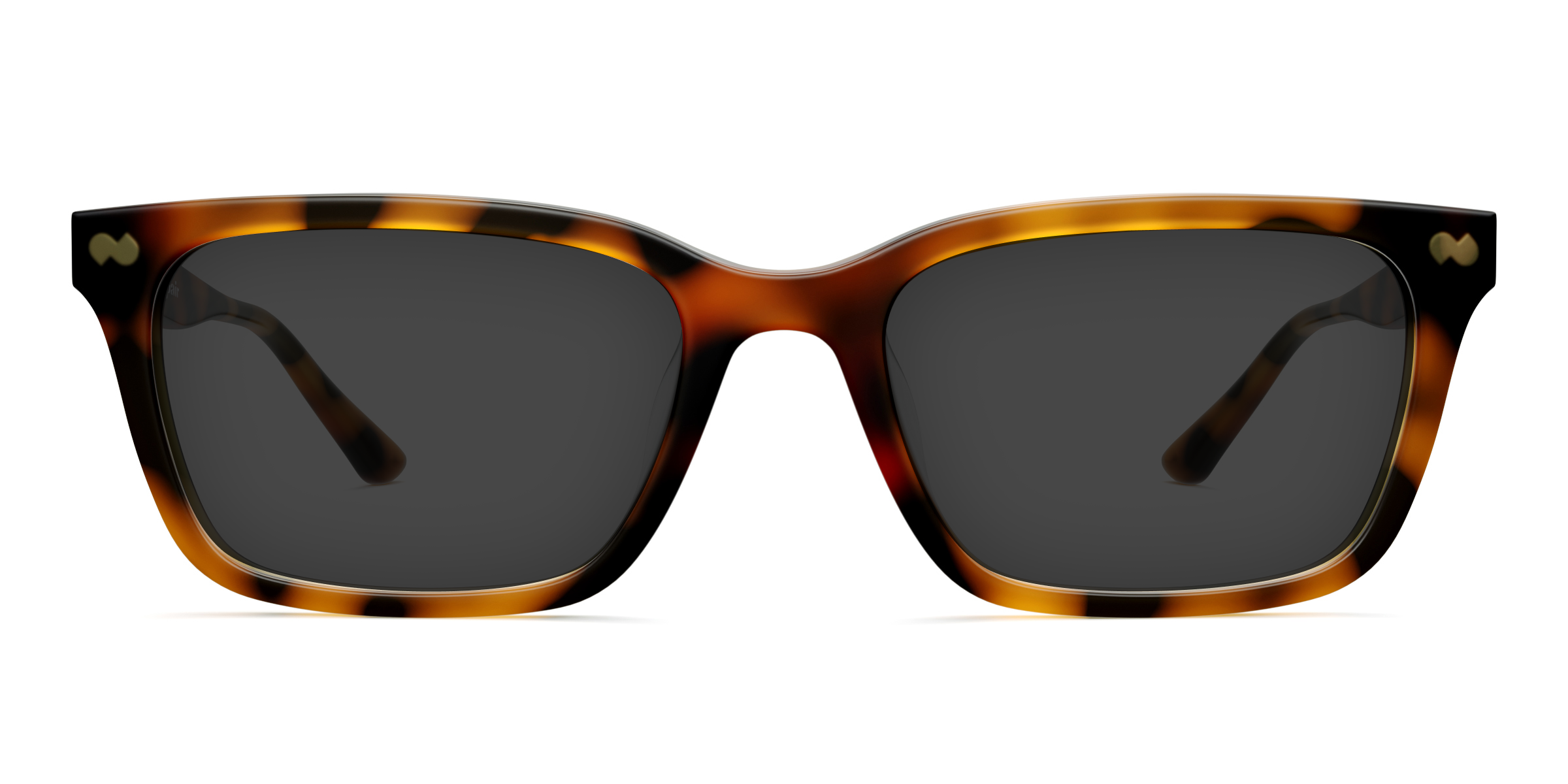 The Larkin - Tortoise Sun – Pair Eyewear