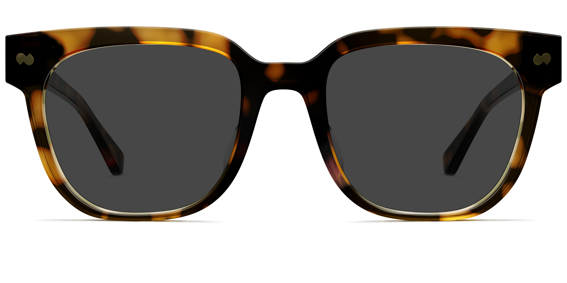 The Murphy - Tortoise Sun – Pair Eyewear