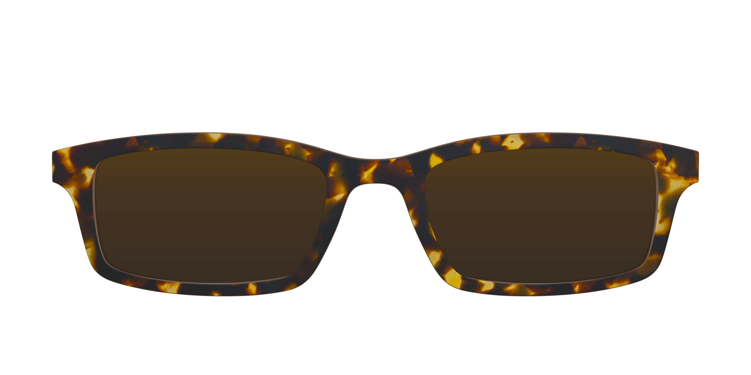 The Polarized Tortoise Sun Top – Pair Eyewear